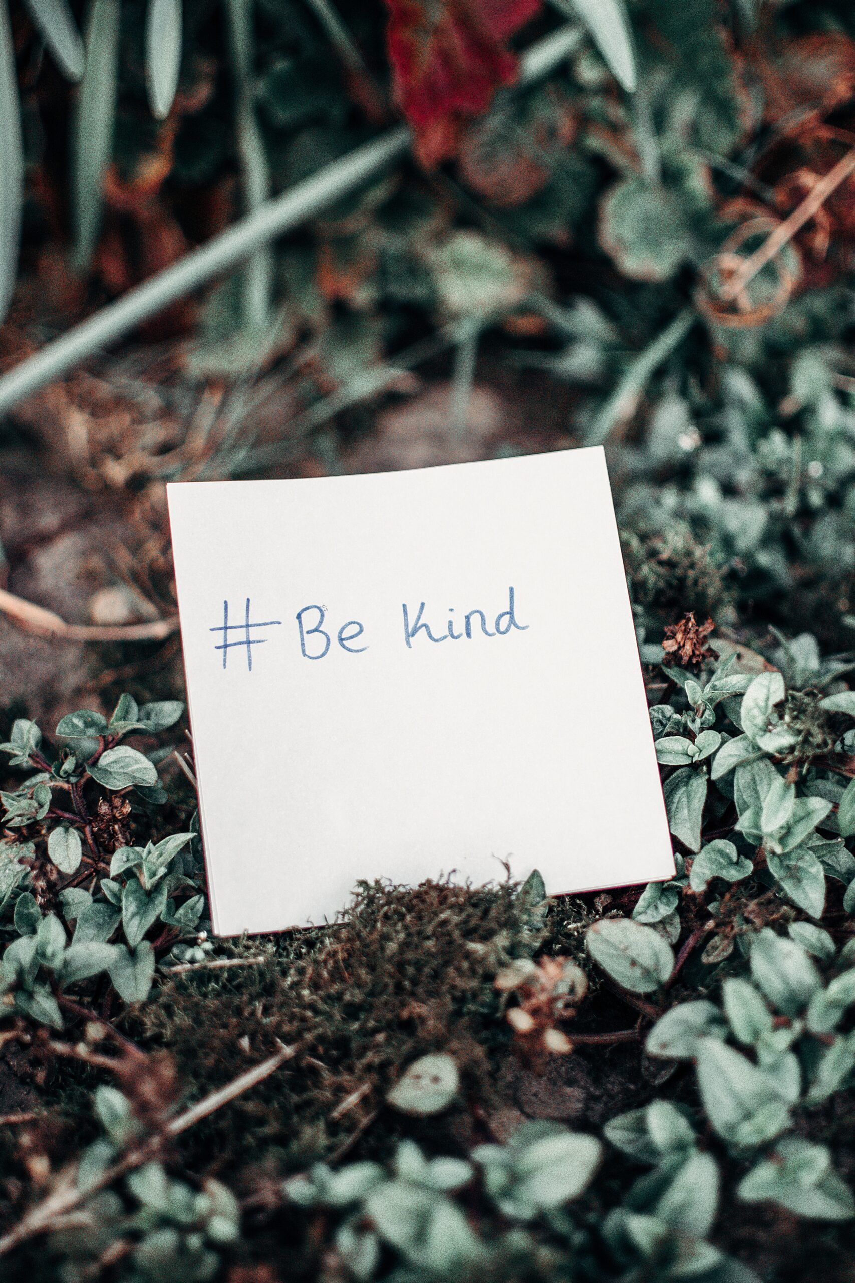 73 Loving Kindness Affirmations To Help You To Be Better